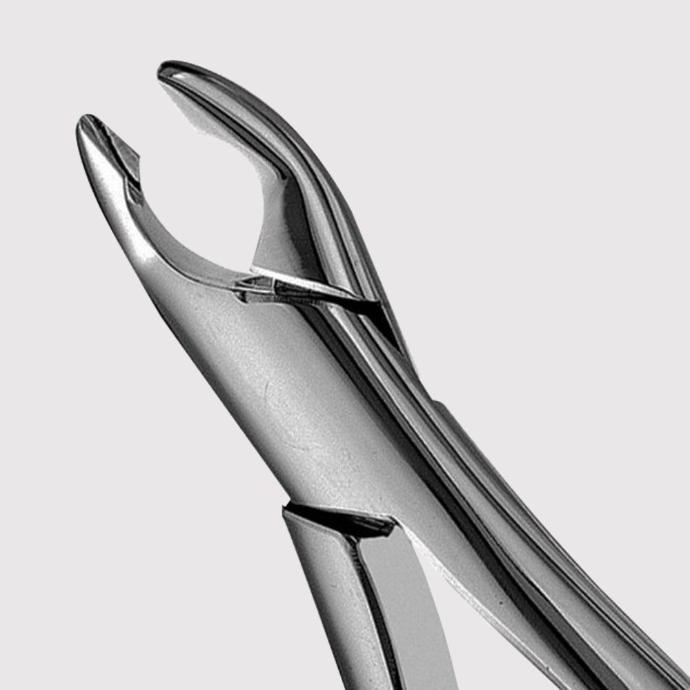 150A Upper incisors And premolars Forceps - Sheroski AB